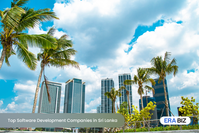 Software Development Companies in Sri Lanka: Finding the Right One